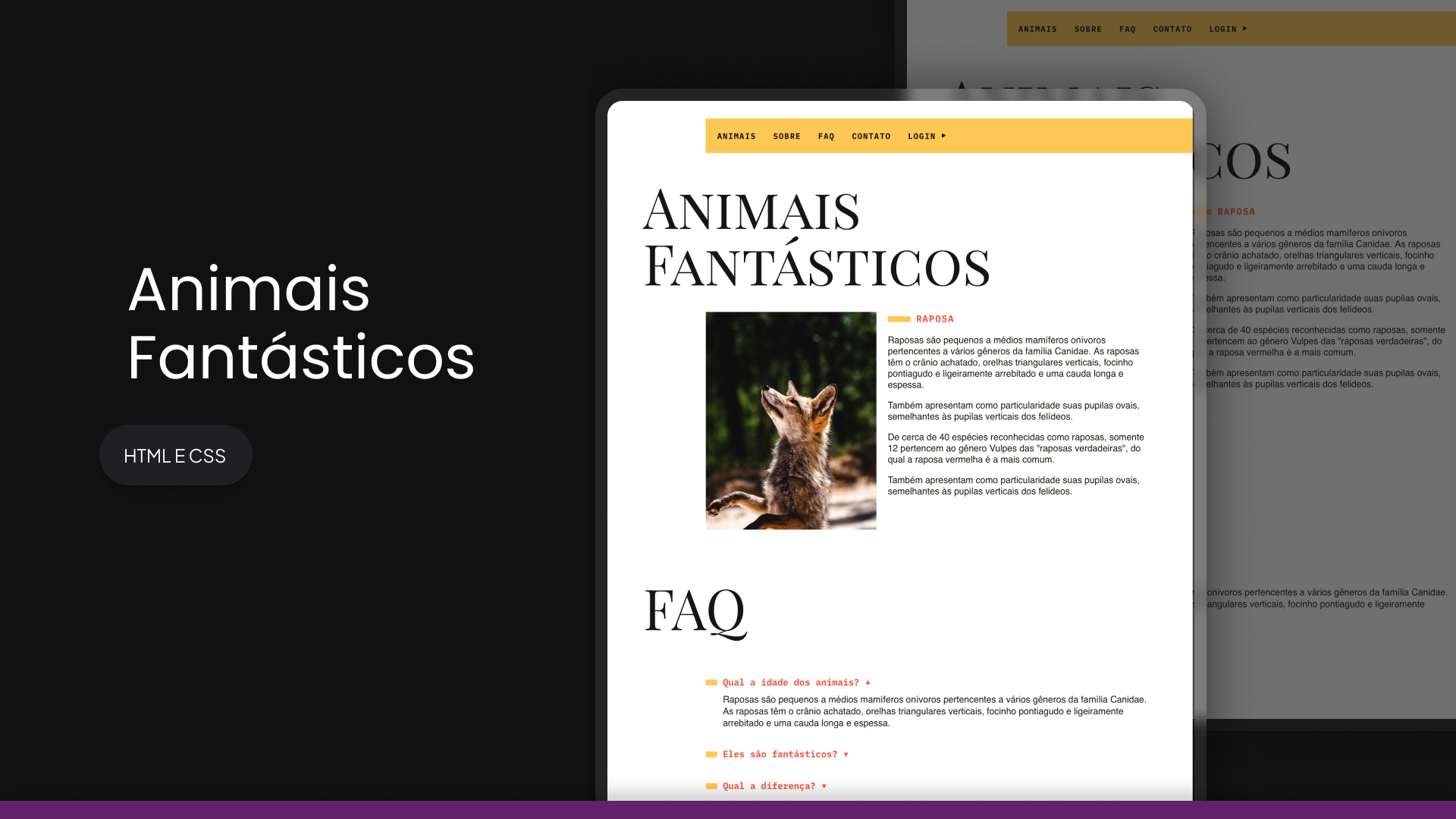 Animais Fantásticos | ProjectOrigamid