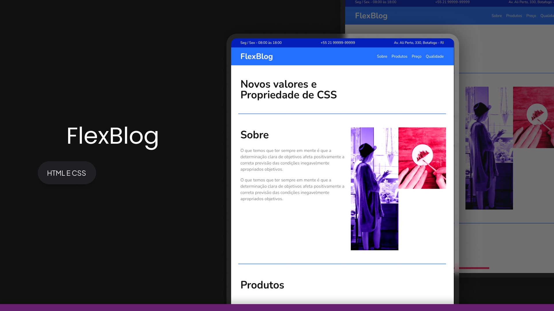 Animais Fantásticos | ProjectOrigamid