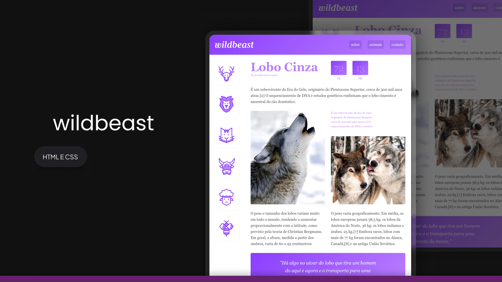 Animais Fantásticos | ProjectOrigamid